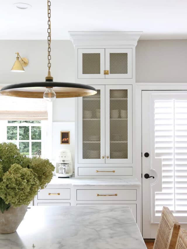 How to Add Metal Cabinet Door Inserts Story - Stefana Silber